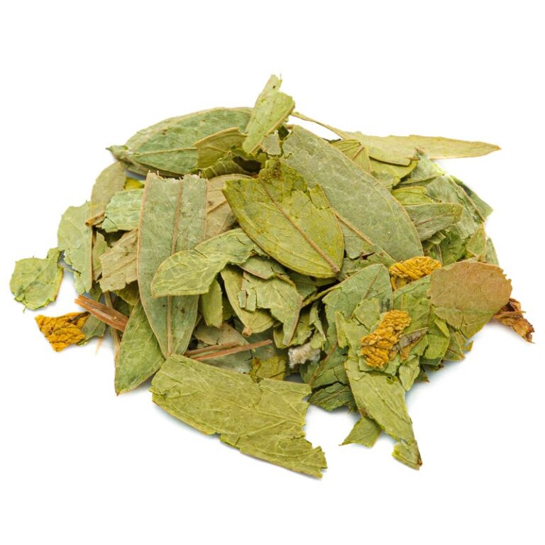 Senna Leaf for Constipation: How It Works and When to Use It ...